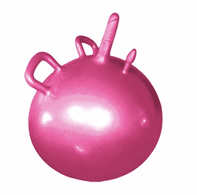 Best 2016 Adult Sex Toys for Men, Women & Dogs That Are Funny & New