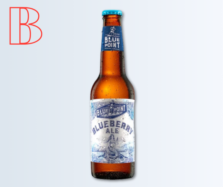 7 Beer And Orange Slice Pairings - Beers And Orange Slices To Drink