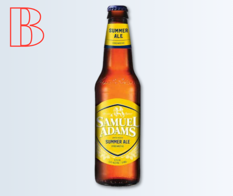 7 Beer And Orange Slice Pairings - Beers And Orange Slices To Drink