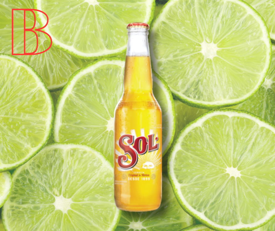 10 Best Beers To Drink With A Lime 2024 - Beer + Lime Pairing